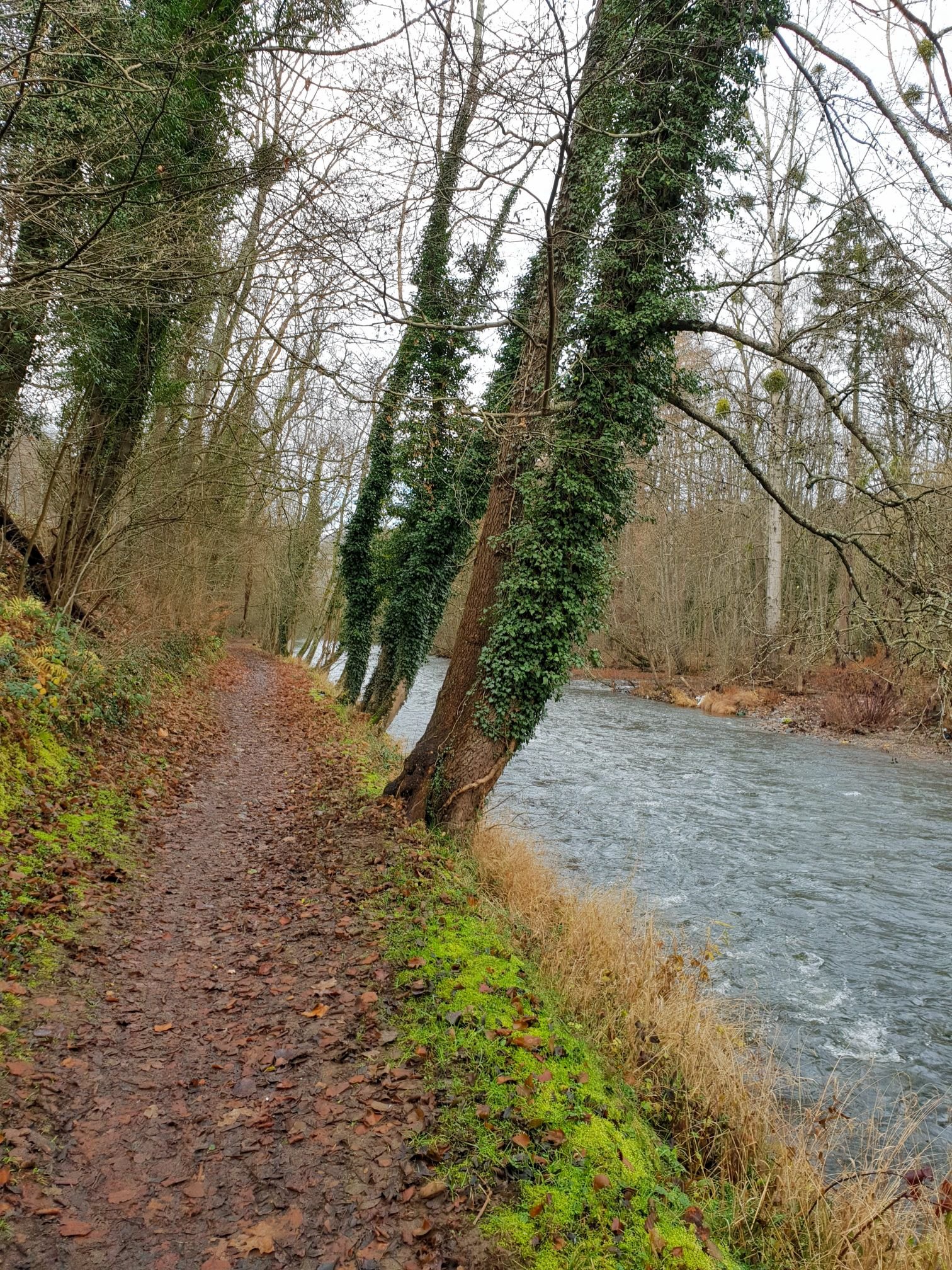 Beer & Hike: Elfique – itsabrewtifulworld