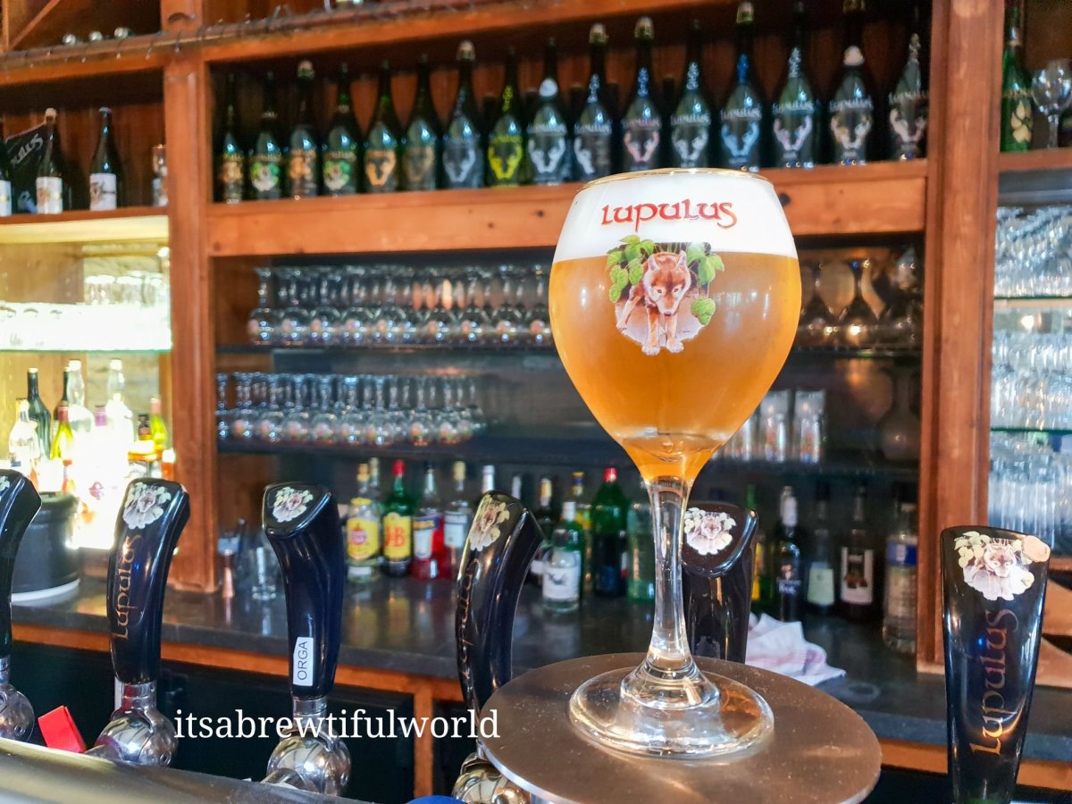 Beer & Hike: Brasserie La THAree & Lupulus – itsabrewtifulworld