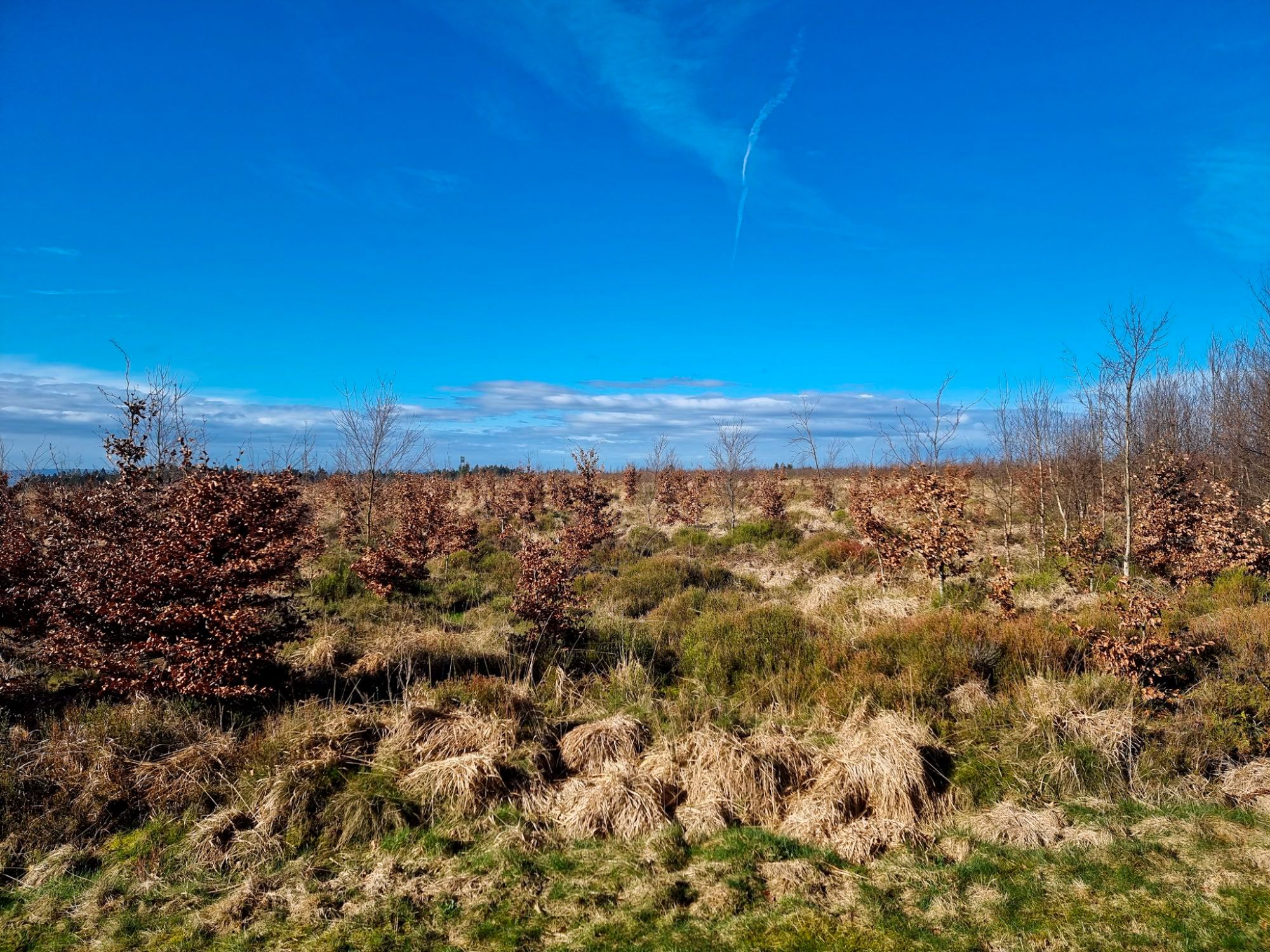 Beer & Hike: Peak Beer & Belgium’s Highest Point – itsabrewtifulworld